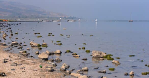 A 3,300 Year-Old Ship Was Discovered Off Israeli Coast | Touchpoint Israel