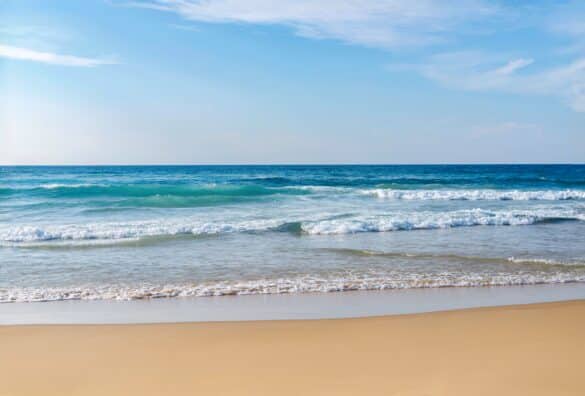 Top 32 Things to do with Kids in Israel in the Summer | Touchpoint Israel