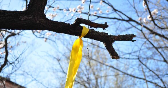 Why Yellow Ribbons? The Symbol of Hope for Hostages | Touchpoint Israel