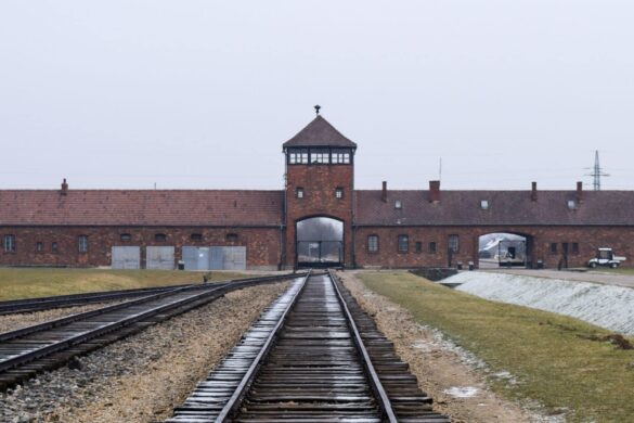 Why Yellow Ribbons? The Symbol of Hope for Hostages | Touchpoint Israel