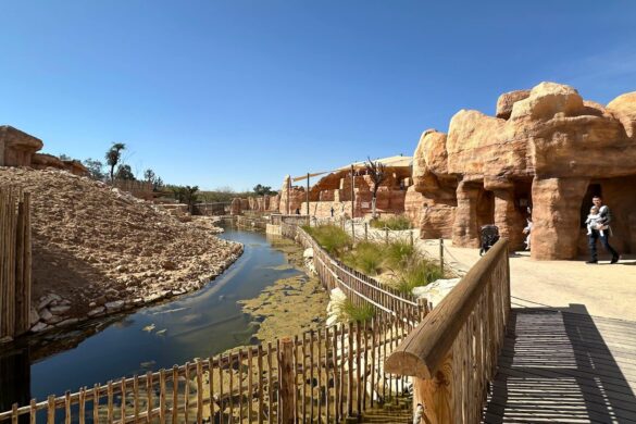 Why Yellow Ribbons? The Symbol of Hope for Hostages | Touchpoint Israel