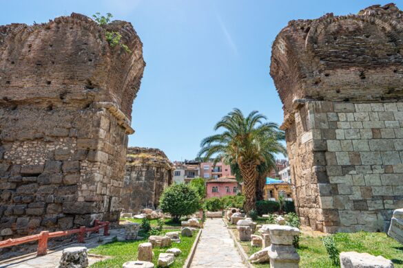 Why Yellow Ribbons? The Symbol of Hope for Hostages | Touchpoint Israel