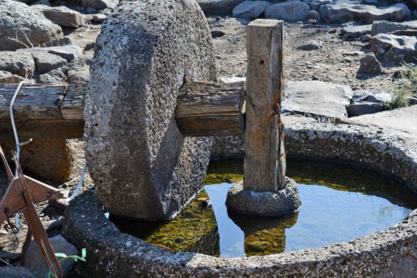 Why Yellow Ribbons? The Symbol of Hope for Hostages | Touchpoint Israel