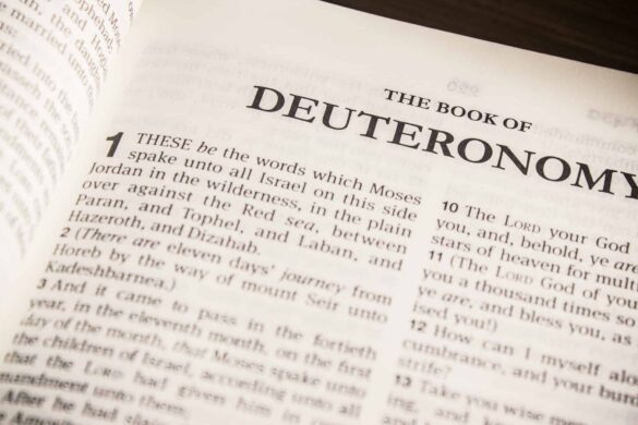 Why Yellow Ribbons? The Symbol of Hope for Hostages | Touchpoint Israel