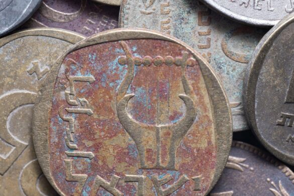 Discover 73 Fun and Fascinating Facts About Israel | Touchpoint Israel