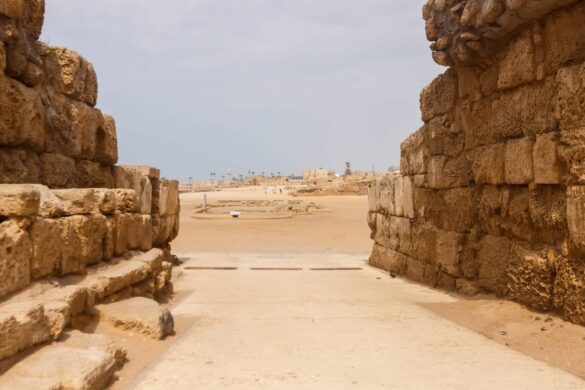 Why Yellow Ribbons? The Symbol of Hope for Hostages | Touchpoint Israel